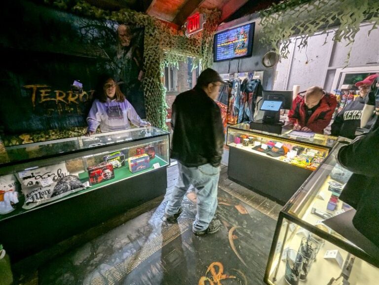 Terror Field Review (2024)