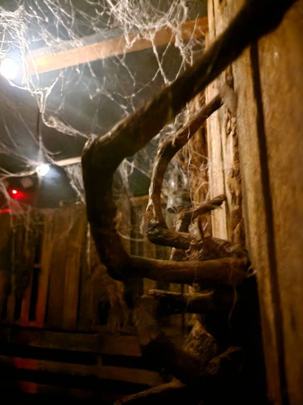 The Fear Complex Review 2022 | CO Haunts | The Scare Factor