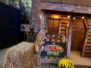 The Scream Chamber Review 2022 | The Scare Factor