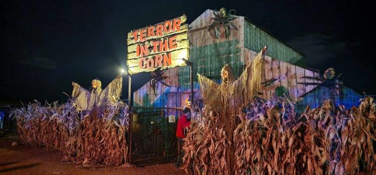 Terror in the Corn at Anderson Farms Review 2023 | The Scare Factor