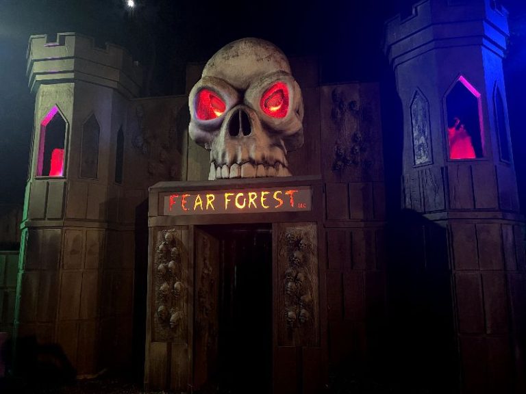 Fear Forest VA Review (2025)