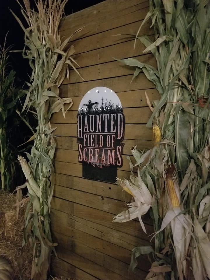 Haunted Field of Screams Review 2019 | The Scare Factor